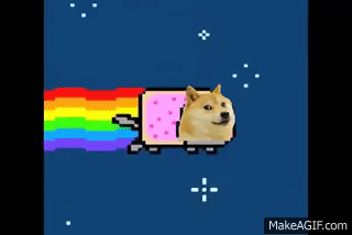 Nyan Doge on Make a GIF