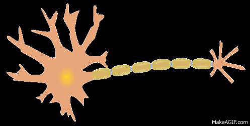 electric neuron on Make a GIF