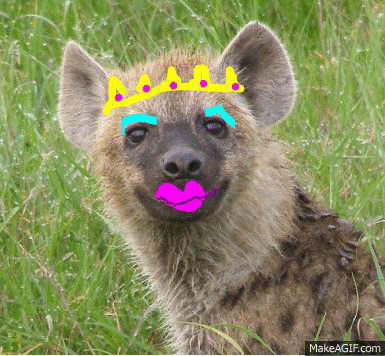 hyena kiss on Make a GIF