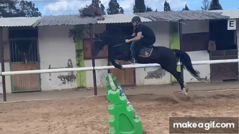 caduta a cavallo on Make a GIF