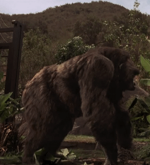 Huh....WHAT YOU SAY ? on Make a GIF