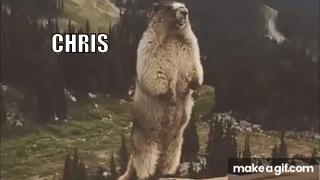 Screaming Groundhog meme on Make a GIF