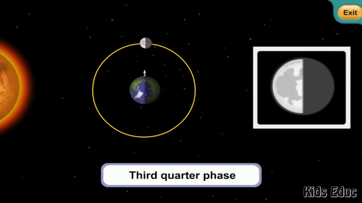 Lunar Cycle, Why The Moon Change Shapes, 8 Phases Of The Moon, Learning ...