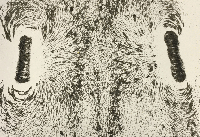 Repelling Magnets Coming Together 1 on Make a GIF