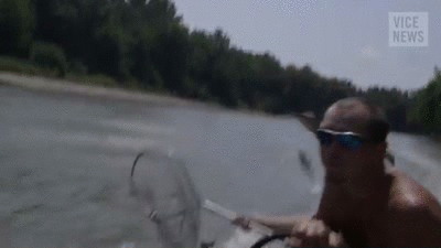 Thomas Morton Fish Slap on Make a GIF