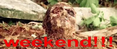 Lucio Fulci s ZOMBI 2 On Make A GIF
