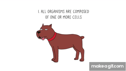 The wacky history of cell theory - Lauren Royal-Woods on Make a GIF