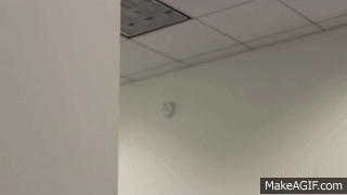 Hey Boss Pink Guy on Make a GIF