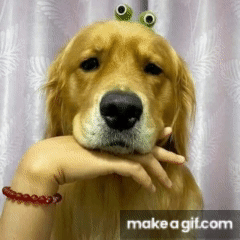 Dog on Make a GIF