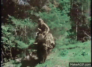 Guy On A Buffalo on Make a GIF