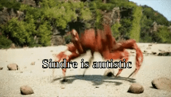 sindre is autistic on Make a GIF