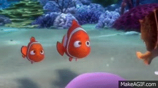 Finding Nemo complete mollusk joke on Make a GIF