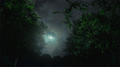 Nature Gifs on Make a GIF