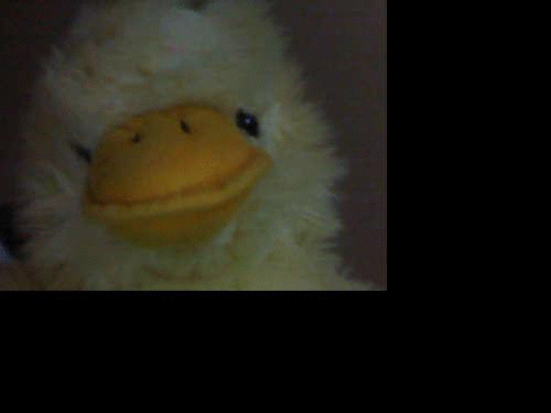 what is the real ducky momo on Make a GIF