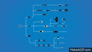 How Evolution works on Make a GIF