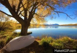 Landscape GIF on Make a GIF