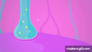 Sympathetic Nervous System: Crash Course A&P #14 on Make a GIF