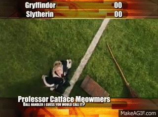 Harry Potter Quidditch Match (Voice-over) on Make a GIF