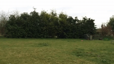 Flying nut high five on Make a GIF