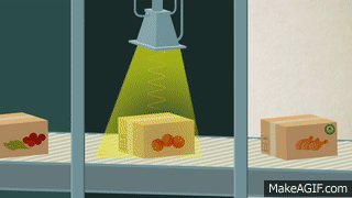 Using Nuclear Science in Food Irradiation on Make a GIF