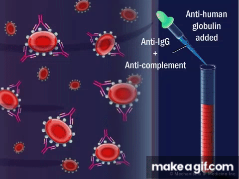The Antiglobulin Tests on Make a GIF