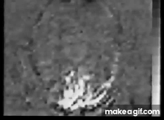 Original fMRI movie on Make a GIF