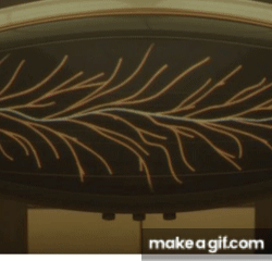 sacred timeline on Make a GIF