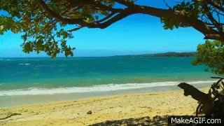 Gif Palla Da Spiaggia Mela Pagliaccio Molto Amichevole E Molto