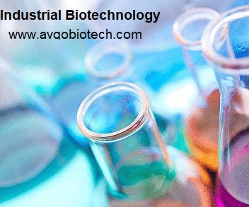 Industrial Biotechnology on Make a GIF