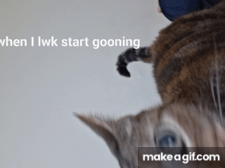 Goonboy on Make a GIF