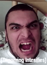TRIGGERED on Make a GIF