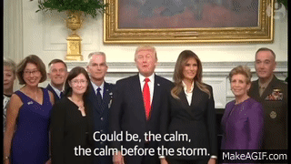 The Secret of Trump''s "Calm Before the Storm" on Make a GIF
