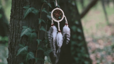 Our boho party on Make a GIF