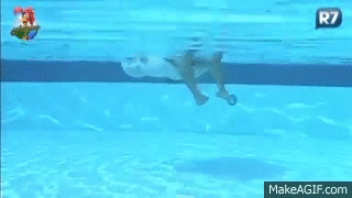 A Fazenda 6 - Gominho fica "entalado" em boia na piscina - 02 09 2013 ...