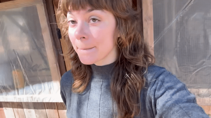 Toby Rose Lonesome on Make a GIF