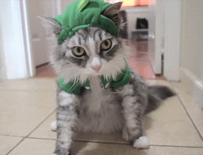 Backwards on Make a GIF