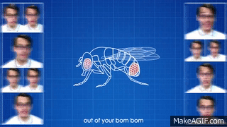 Evo-Devo (Despacito Biology Parody) | A Capella Science on Make a GIF