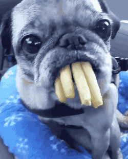 french fries. [video] on Make a GIF