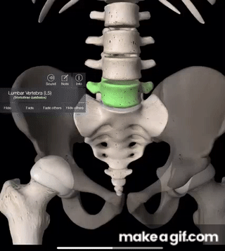 L5 on Make a GIF