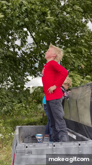 Mullet in the wind on Make a GIF