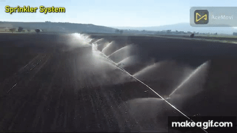 Drip and Sprinkler Irrigation System| Tapak Vidhi | Advantages and ...