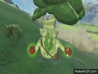 The Legend of Zelda: Breath of the Wild: Hestu's Dance on Make a GIF
