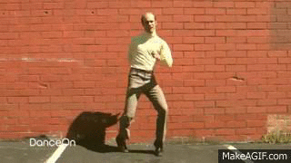 How i Dance when i get a raid on Make a GIF