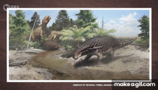 Seldom Seen Species (PBS Eons) on Make a GIF