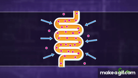 How Do Laxatives Work? on Make a GIF