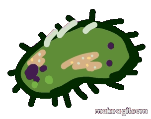 pythonmicrobe on Make a GIF