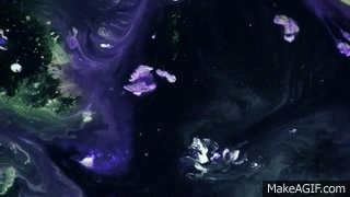 Guided | Animation on Make a GIF