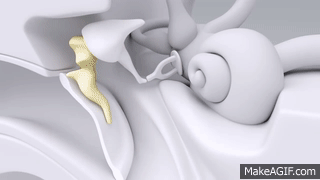 Cómo funciona la audición on Make a GIF