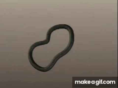 How restriction enzymes, like EcoR1, work. on Make a GIF