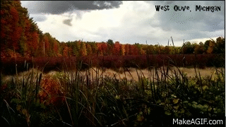 Fall Colors (Colours) - Lawson Photography on Make a GIF